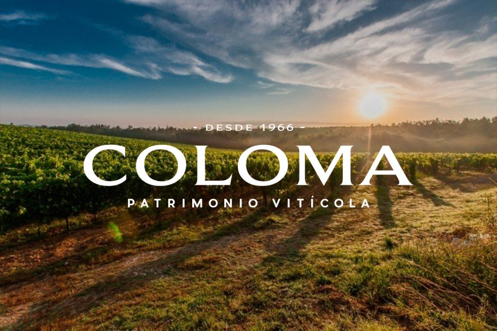 Identidad corporativa Coloma - Eva Arias Graphic Studio